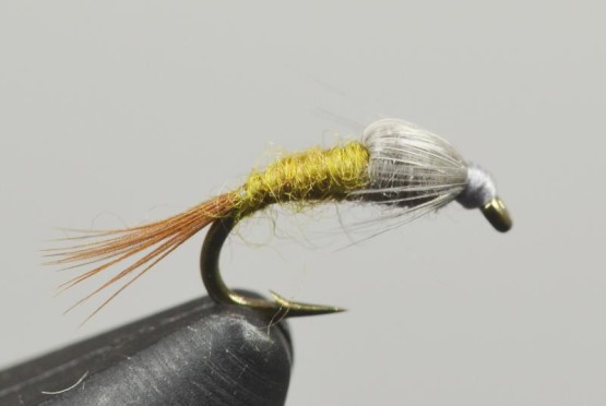 CDC Case Emerger- BWO - Slide Inn | Mayfly Nymphs