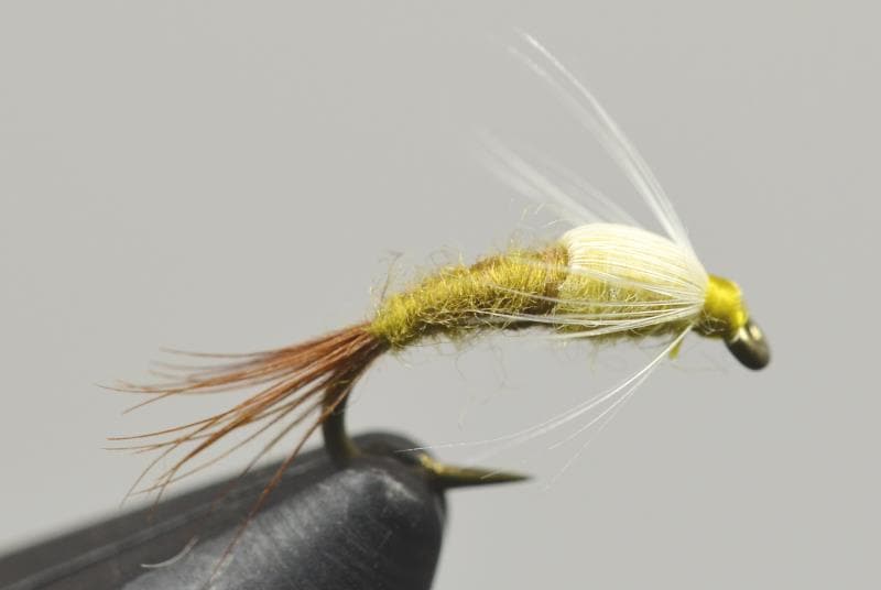 CDC Case Emerger - PMD - Galloup's Slide Inn | Mayfly Nymphs