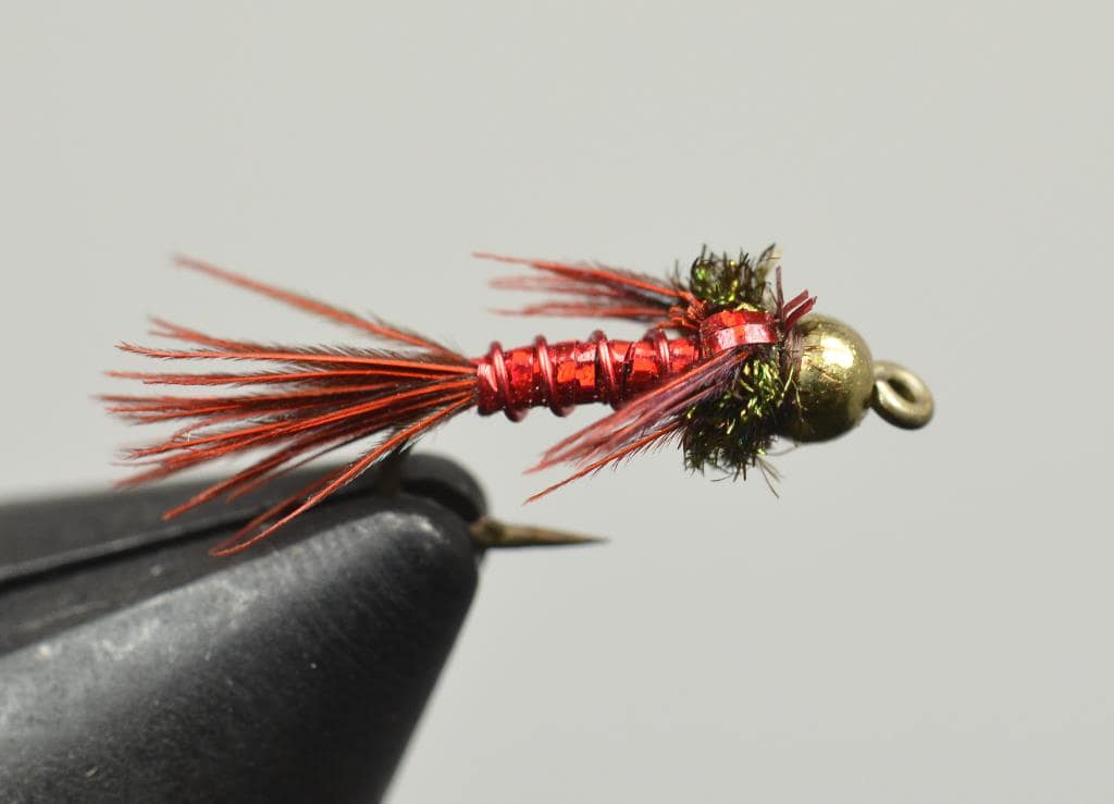 Lightning Bug - Galloup's Slide Inn | Nymphs | Attractors