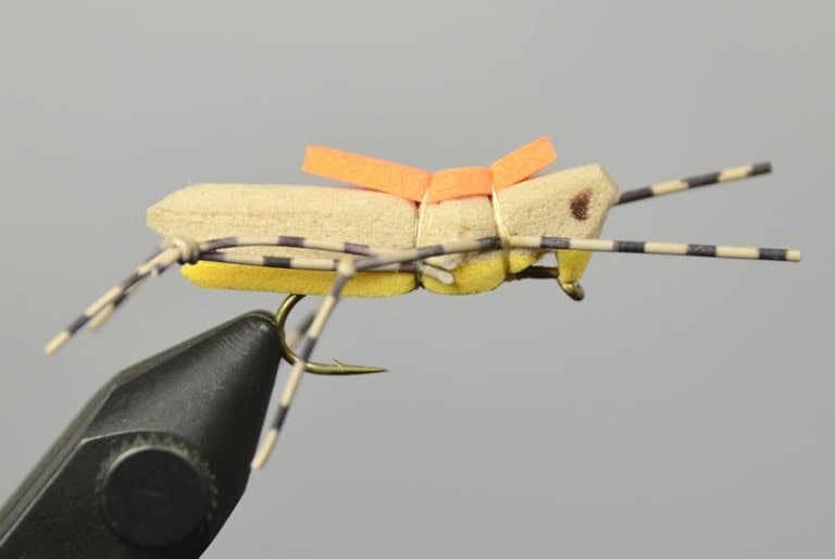 Morrish Hopper - Galloup's Slide Inn | Dry Flies | Hoppers