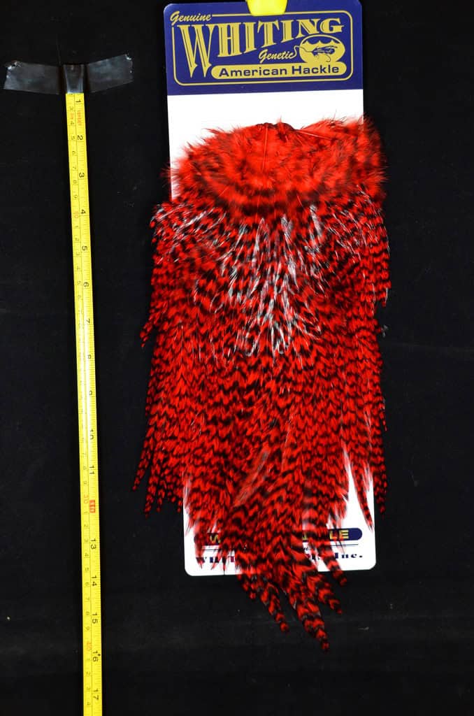 Whiting American Rooster Saddle - Grizzly - Galloup's Slide Inn | Feathers