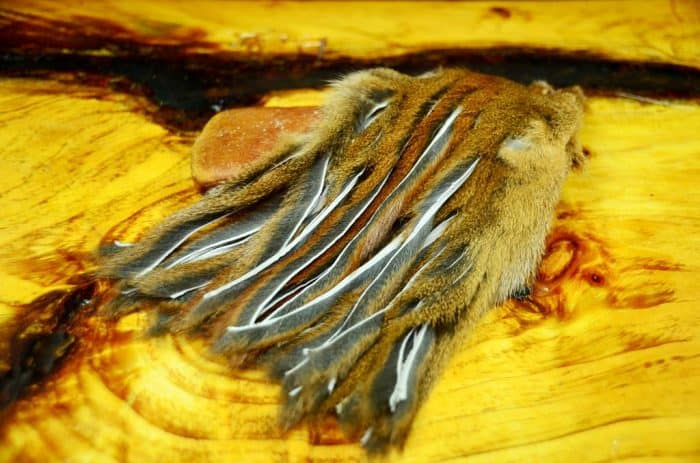 Pine Squirrel Skin Zonked - Galloup's Slide Inn | Fly Tying | Fur