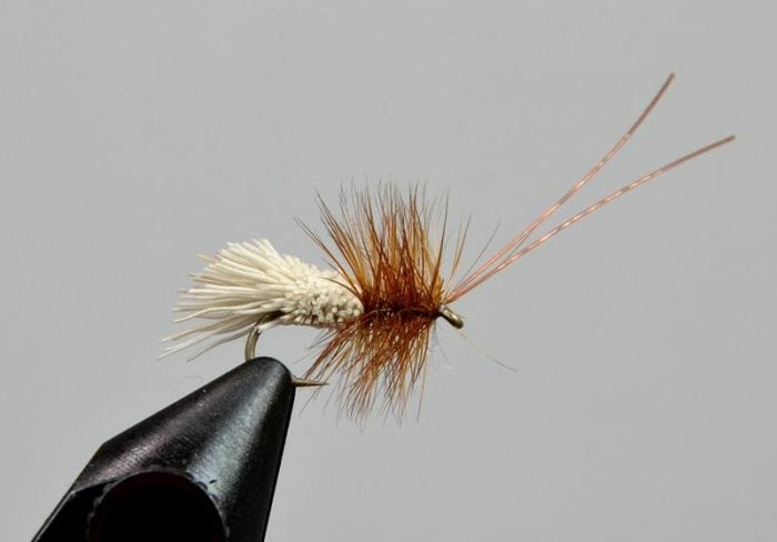 Goddard Caddis - Galloup's Slide Inn | Dry Flies | Caddis
