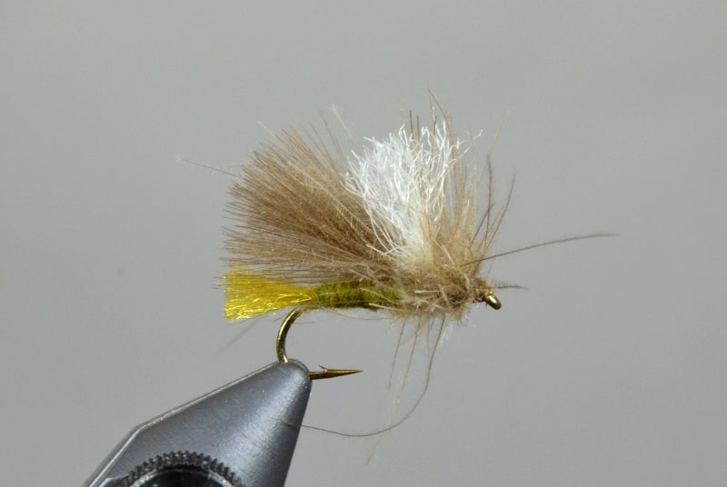 Egan's Corn Fed Caddis - Galloup's Slide Inn | Dry Flies | Caddis