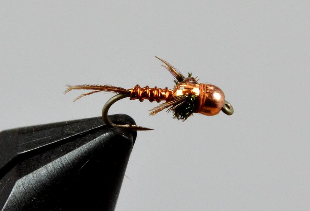 Pictures Of Lightning Bugs