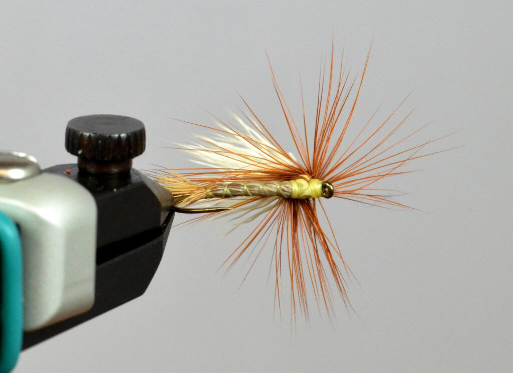Galloup's Tilt Wing Drake - Galloup's Slide Inn | Dry Flies