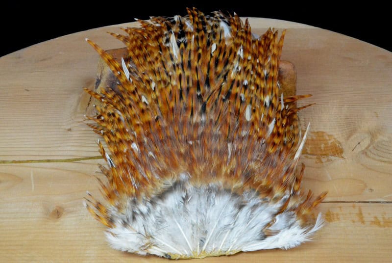 MFC Barred Saddle Hackle - Galloup's Slide Inn | Fly Tying