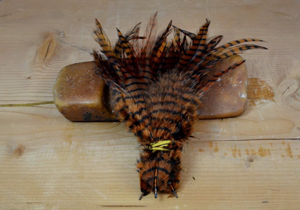 MFC Barred Saddle Hackle - Galloup's Slide Inn | Fly Tying