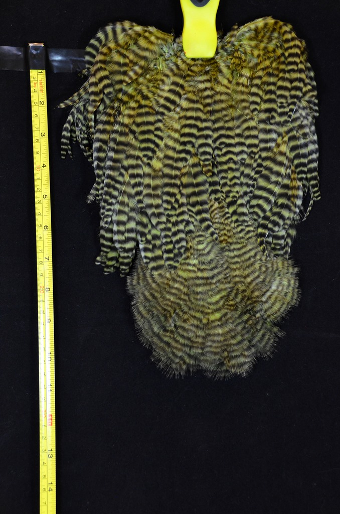 Whiting Rooster Soft Hackle With Chickabou Patch - Galloup's Slide Inn