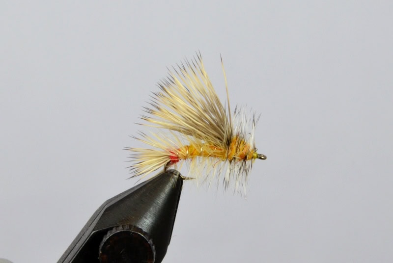 Silvey's Yellow Sally - Galloup's Slide Inn | Dry Flies