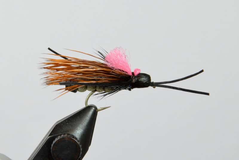 Paulson's Flutter Bug - Galloup's Slide Inn | Dry Flies