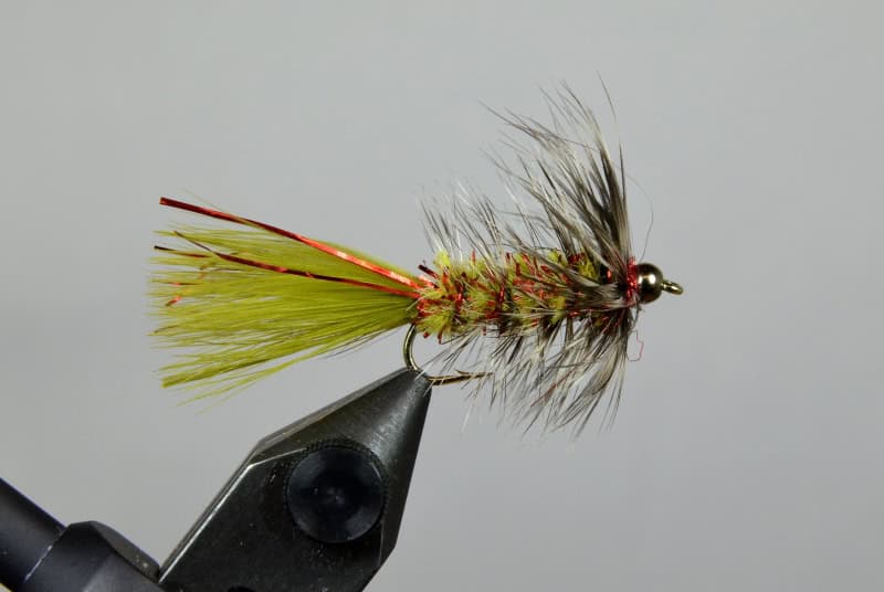 Rowley's Balanced Leech - Galloup's Slide Inn | Stillwater Flies | Leeches