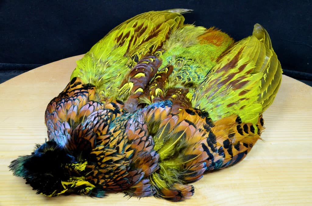 Ringneck Pheasant Skin - Galloup's Slide Inn | Fly Tying | Feathers