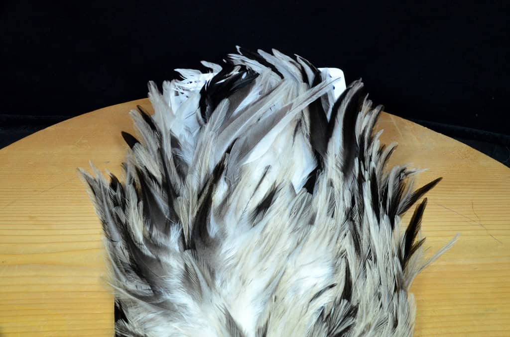 Whiting American Rooster Saddle - Galloup's Slide Inn | Fly Tying | Hackle