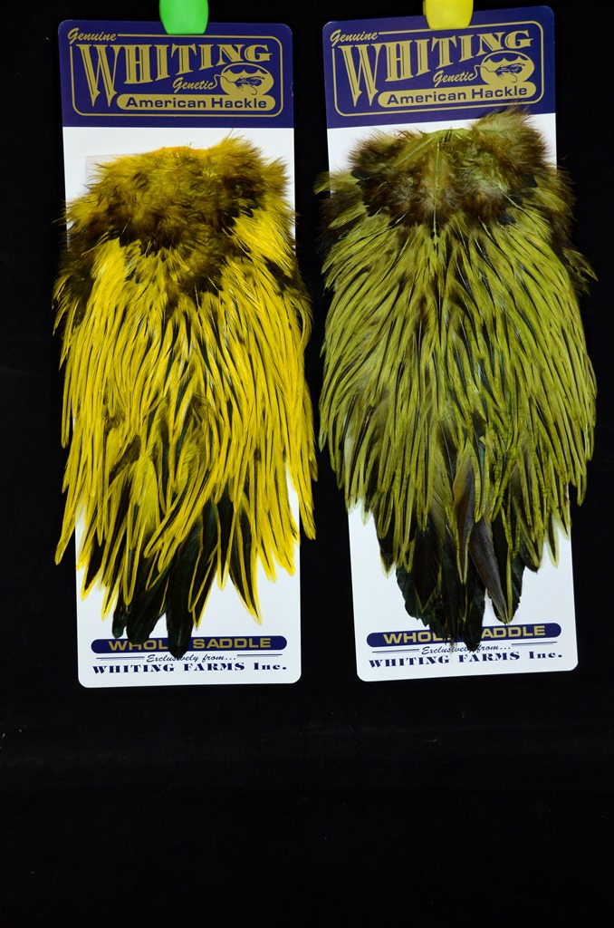 Whiting American Rooster Saddle - Badger - Galloup's Slide Inn | Feathers