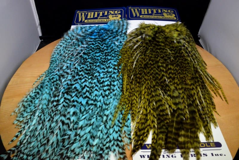 Whiting American Rooster Saddle - Grizzly - Galloup's Slide Inn | Feathers