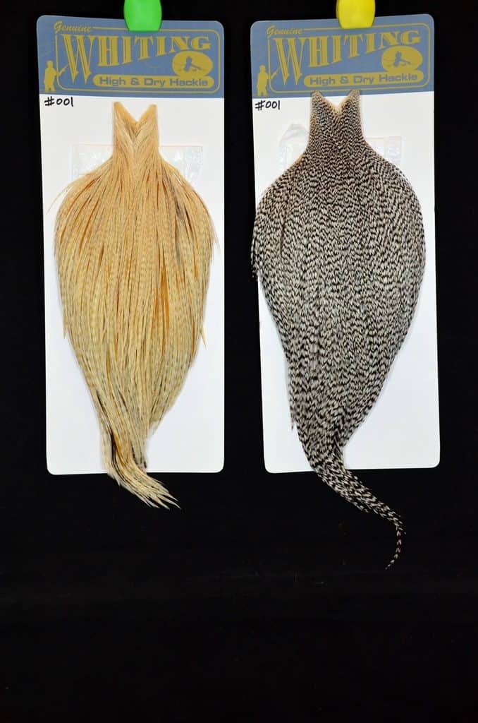 Whiting Hen Cape - Galloup's Slide Inn | Fly Tying | Whiting Farms