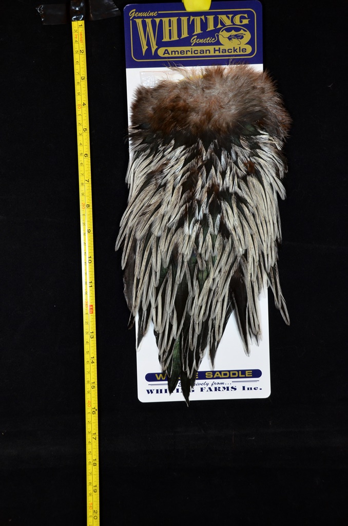 Whiting American Rooster Saddle - Badger - Galloup's Slide Inn | Feathers