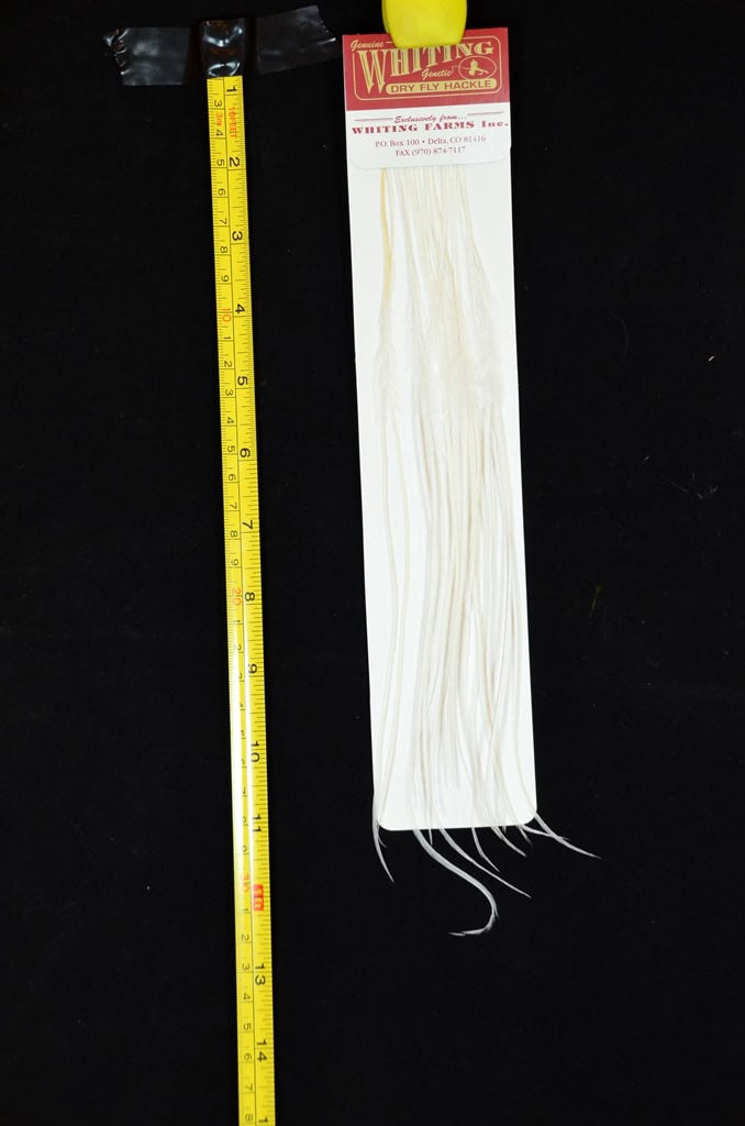 Whiting 100 Pack - Galloup's Slide Inn | Fly Tying | Whiting Hackle