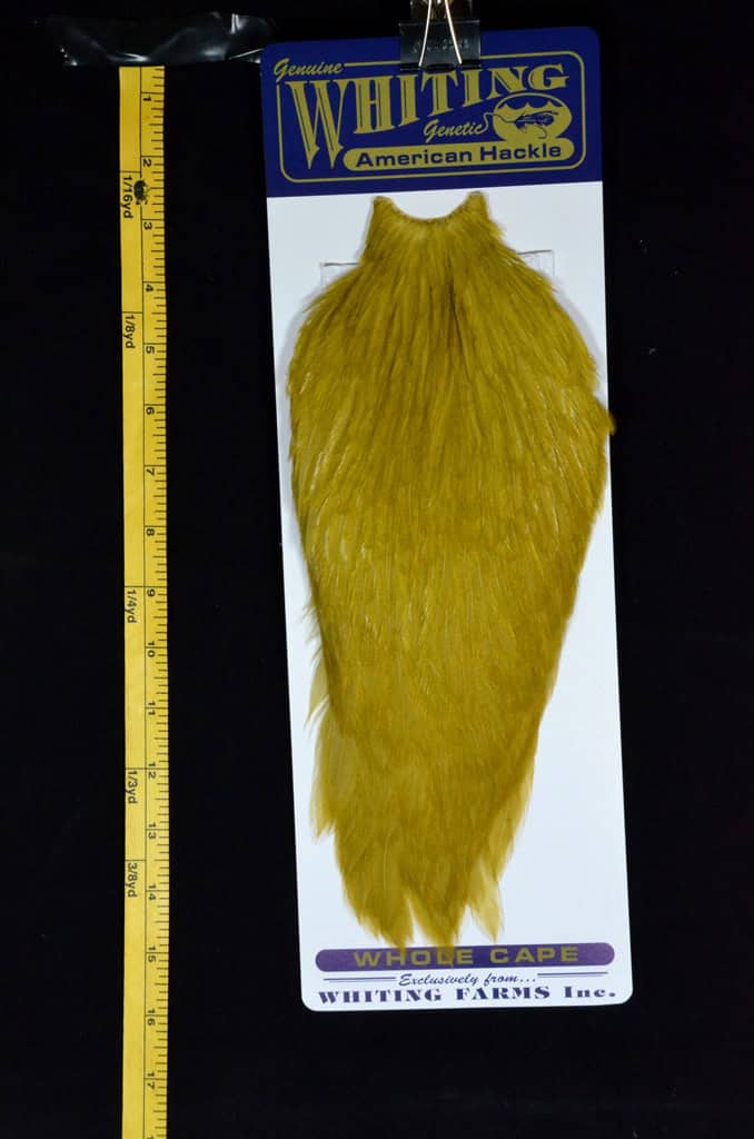 Whiting American Rooster Cape - Galloup's Slide Inn | Fly Tying | Feathers