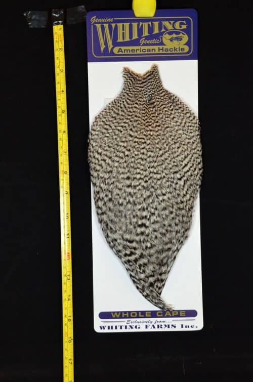 Whiting American Rooster Cape - Galloup's Slide Inn | Fly Tying | Feathers