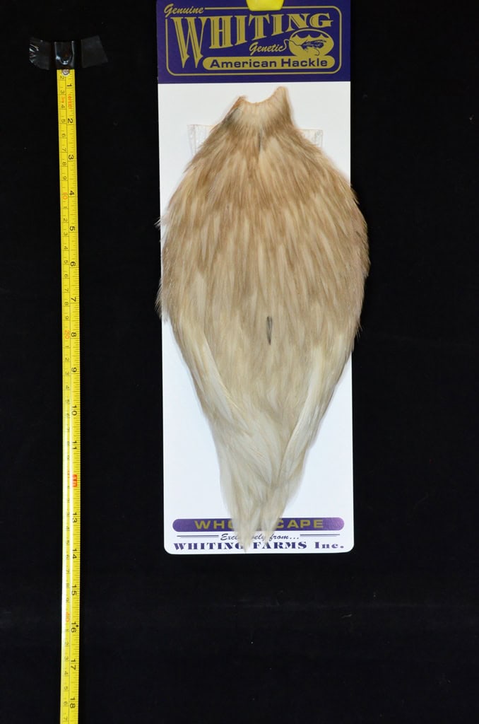 Whiting American Rooster Cape - Galloup's Slide Inn | Fly Tying | Feathers