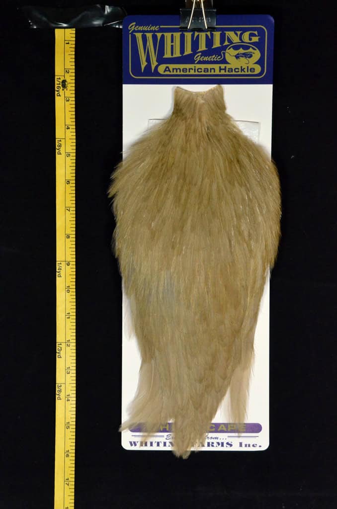 Whiting American Rooster Cape - Galloup's Slide Inn | Fly Tying | Feathers