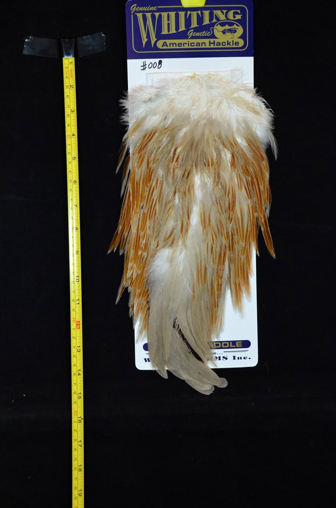 Whiting American Rooster Saddle - Galloup's Slide Inn | Feathers