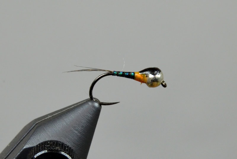 Pearl and Orange Perdigon - Galloup's Slide Inn | Euro Nymphs