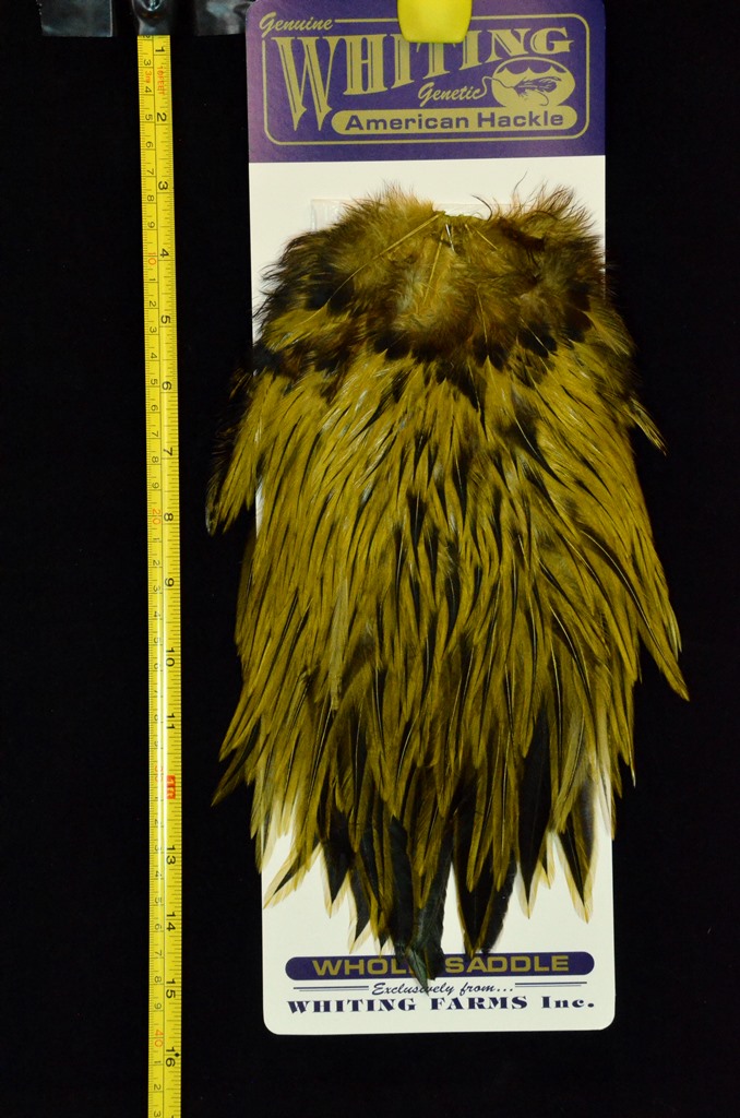 Whiting American Rooster Saddle - Badger - Galloup's Slide Inn | Feathers