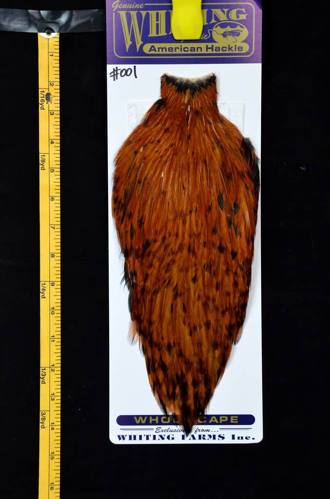 Whiting American Rooster Cape - Galloup's Slide Inn | Fly Tying | Feathers