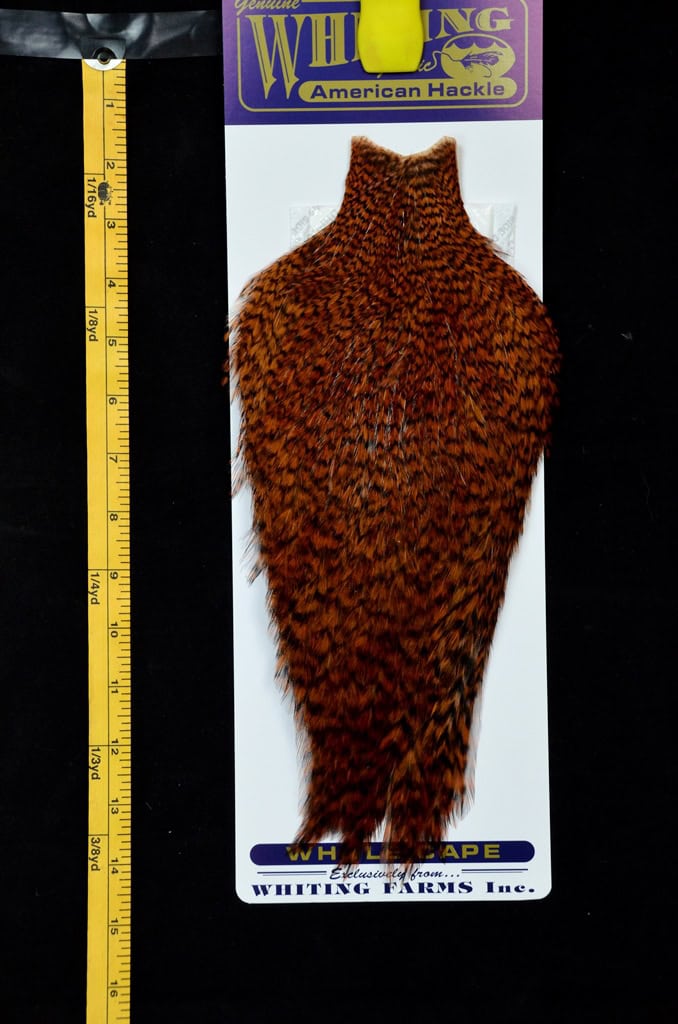 Whiting American Rooster Cape - Galloup's Slide Inn | Fly Tying | Feathers