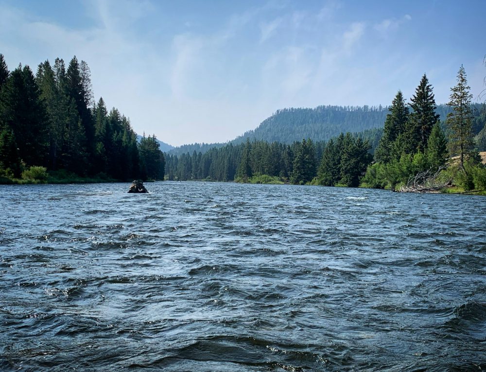 Drop Shot System and Sliding Dropper Loop - Guided Fly Fishing Madison ...