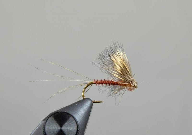Kelly Galloup's Found Link Fly Pattern | Slide Inn