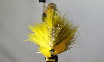 Flatliner Fly Pattern - Kelly Galloup's Flatliner Streamer