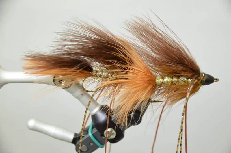 Kelly Galloup's Peanut Envy Fly - Streamer Pattern | Slide Inn