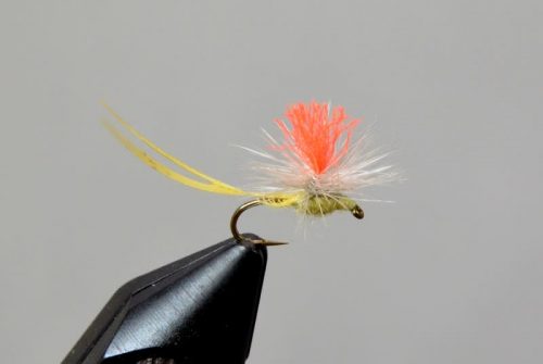 Guide Winna Spinna Trico - Galloup's Slide Inn