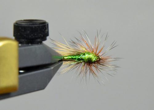 Bloom's Parachute Caddis Fly Pattern | Slide Inn