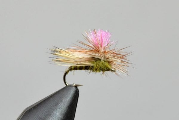 Bloom's Parachute Caddis Fly Pattern | Slide Inn
