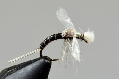 Stalcup's Hatching Midge - Galloup's Slide Inn