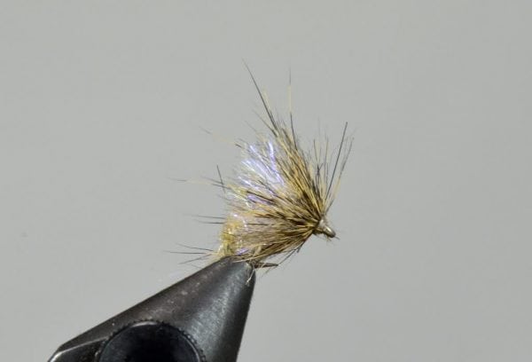 Galloup's UV Caddis Pupa Nymph Fly Pattern for Fly Fishing