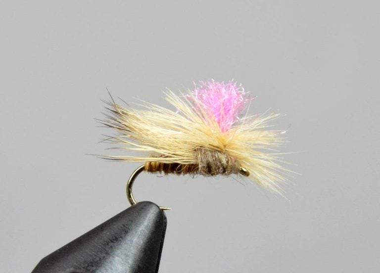 Bloom's Parachute Caddis Fly Pattern | Slide Inn