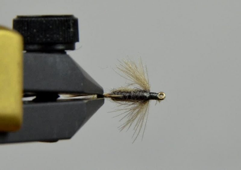 Harrop's CDC Transitional Midge - Galloup's Slide Inn