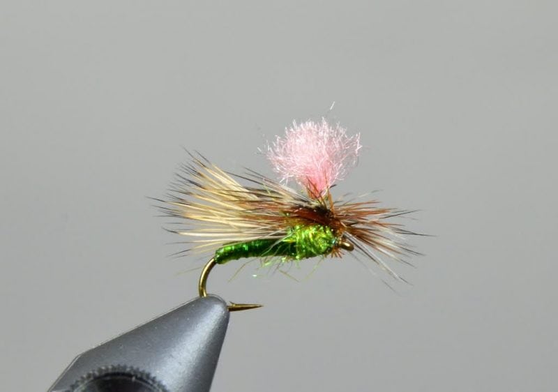 Bloom's Parachute Caddis Fly Pattern | Slide Inn