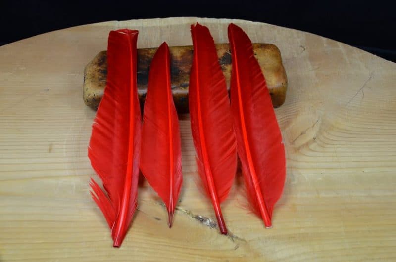 Nature's Spirit Duck Quills - Galloup's Slide Inn