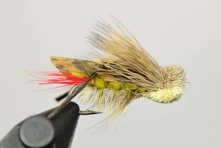 Dave's Hopper - Galloup's Slide Inn