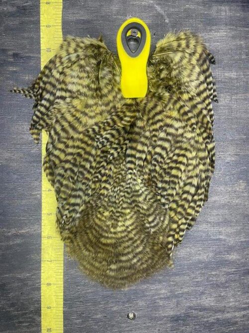 Whiting Rooster Soft Hackle with Chickabou Patch - Slide Inn