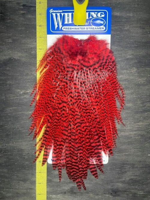 Whiting Freshwater Streamer Saddle | American Streamer Pack