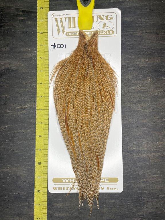 Whiting Heritage Cape - Dark Barred Ginger #001 - Guided Fly Fishing ...