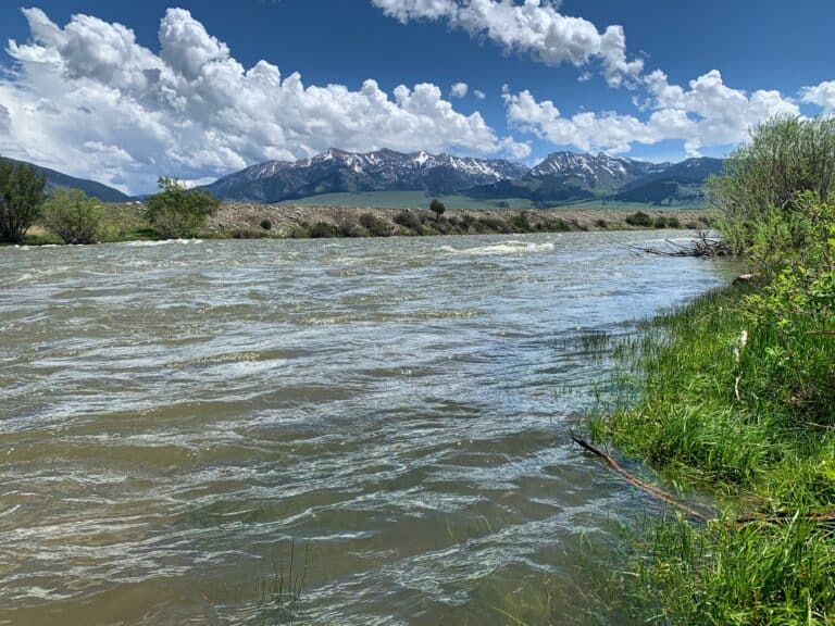 Madison River Fishing Report 06/03/2023 - The Slide Inn